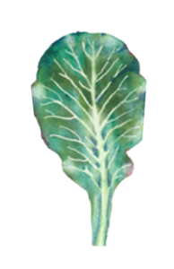 Tastefully Yours Catering Menus | Augusta GA